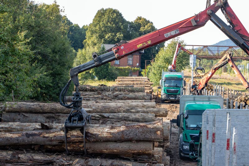 A Crane Mounted on Truck Loads Trunks of Tree Stock Photo - Image of ...