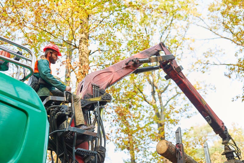 239 Logging Operator Stock Photos - Free & Royalty-Free Stock Photos ...