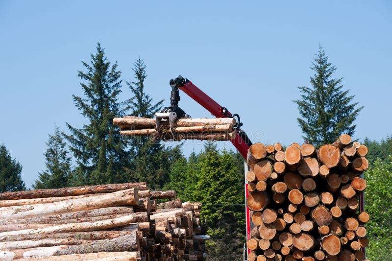 Crane Operator Loading Logs on To Truck Stock Image - Image of ...