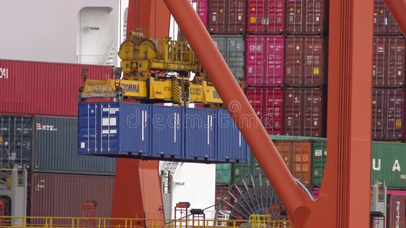A Crane in the Process of Moving or Maneuvering an Import or Export ...