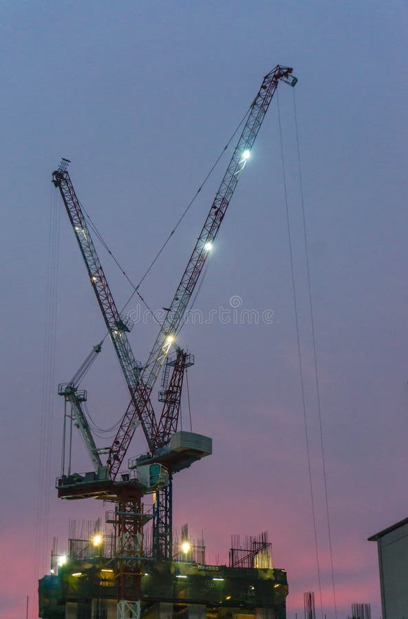 Crane at sunset stock photo. Image of dawn, high, evening - 40295100