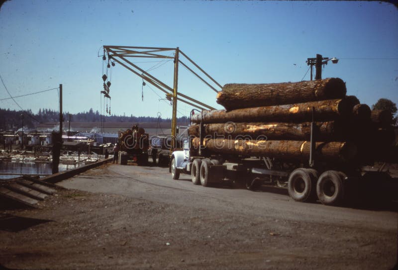 Crane Unloading Logging Truck Stock Photo - Image of pier, washington ...