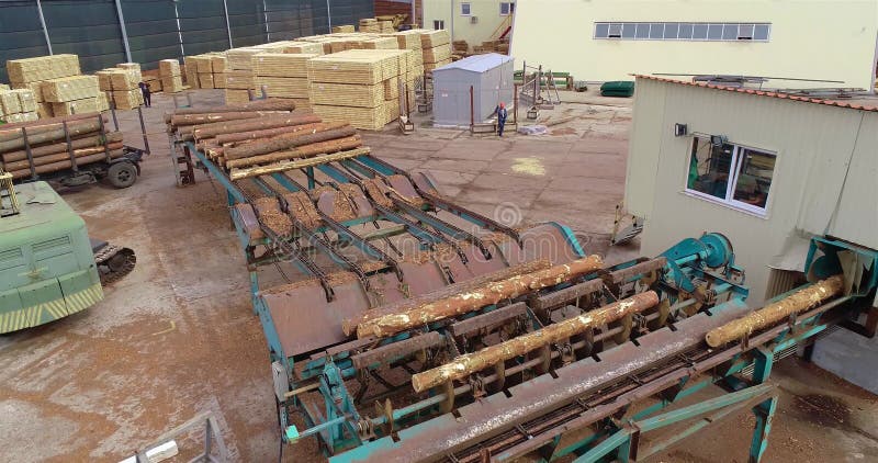 Crane Unloads Logs on the Sorting Line. Automated Log Sorting at a ...