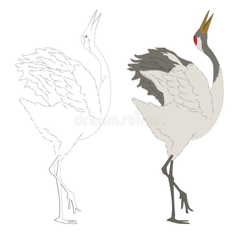 Dancing Cranes Stock Illustrations – 130 Dancing Cranes Stock ...