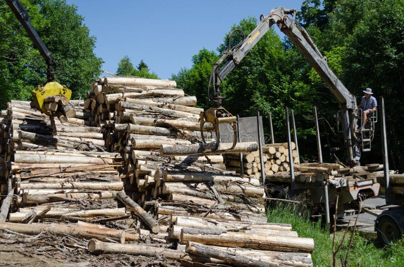 Cranes Claw Stack of Timber Logs at Lumber Mill Editorial Stock Photo ...
