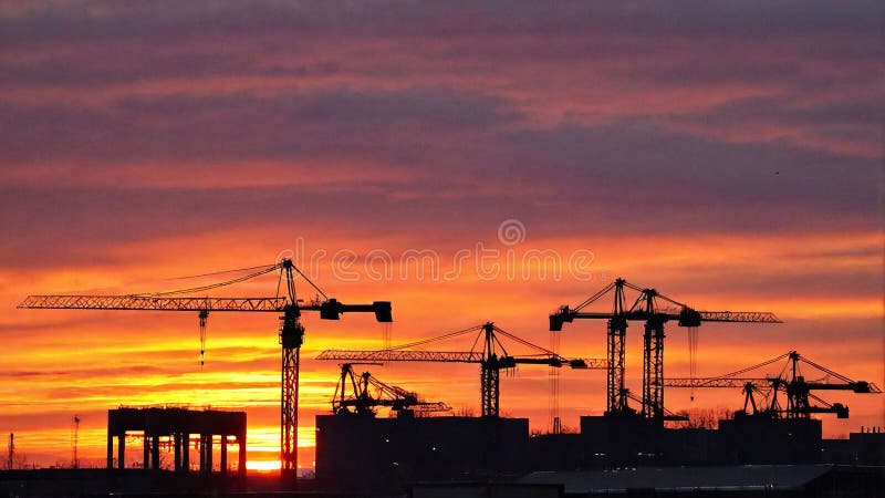 Cranes and Cranes in a Sunset Sky with the Sun Setting Behind Them ...