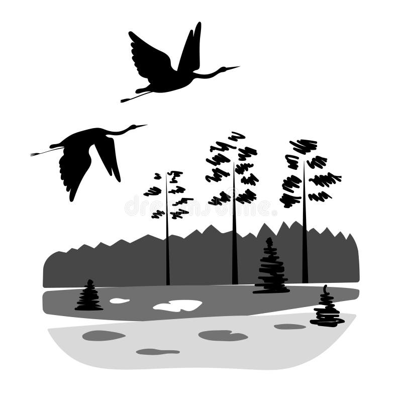 Cranes are Flying Above the Forest. Vector Black and Gray Image. Stock ...