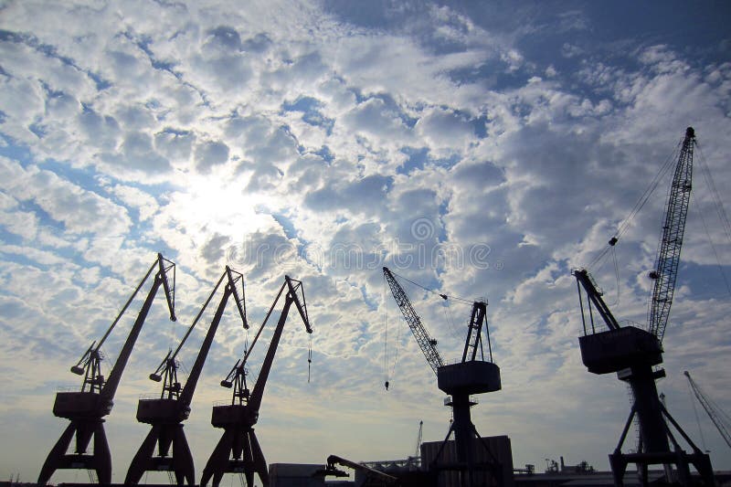 Cranes in a port stock photo. Image of cargo, derrick - 36361940