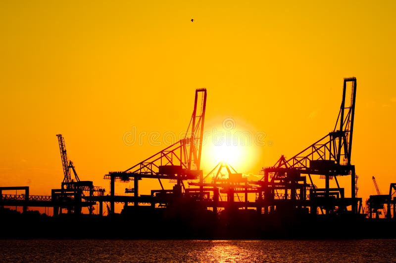 Cranes at sunset stock image. Image of motionless, commercial - 9636787