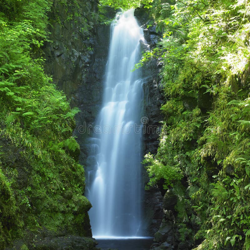 The Cranny Falls in Northern Ireland Stock Image - Image of moss ...
