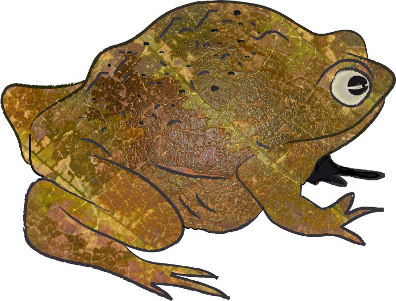 Crapaud Stock Illustrations, Vecteurs, & Clipart – (11,410 Stock ...
