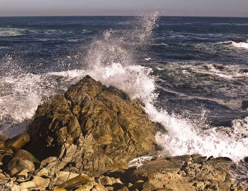 Crashing Pacific Wave stock image. Image of wave, monterey - 6962909