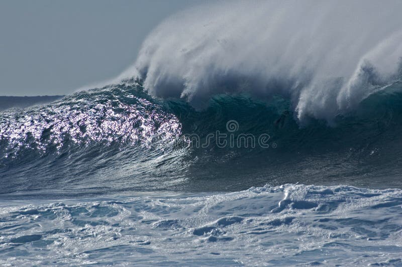 Hawaii North Shore Wave stock photo. Image of shore, pacific - 9868070