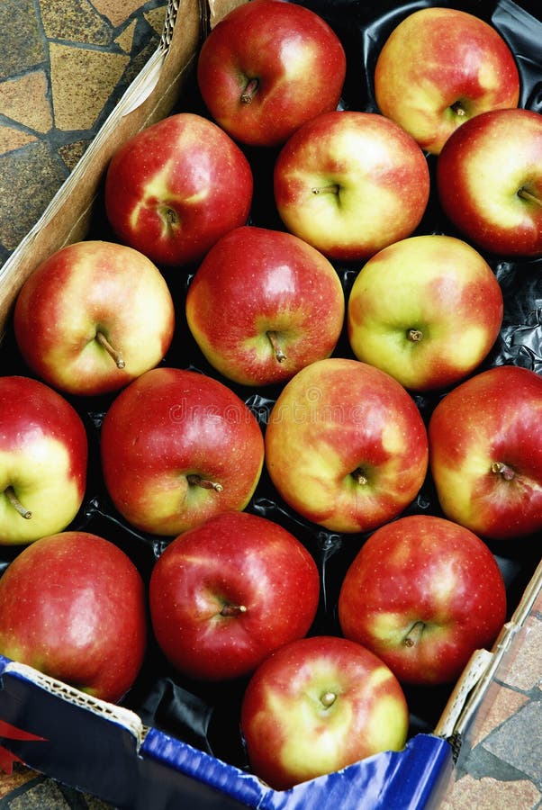 Crate of apples stock image. Image of colored, apple - 23708057