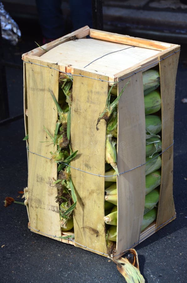 Crate of Corn stock image. Image of vegetables, vegetable - 160142977