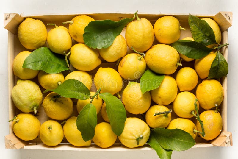 464 Crate Lemons Stock Photos - Free & Royalty-Free Stock Photos from ...