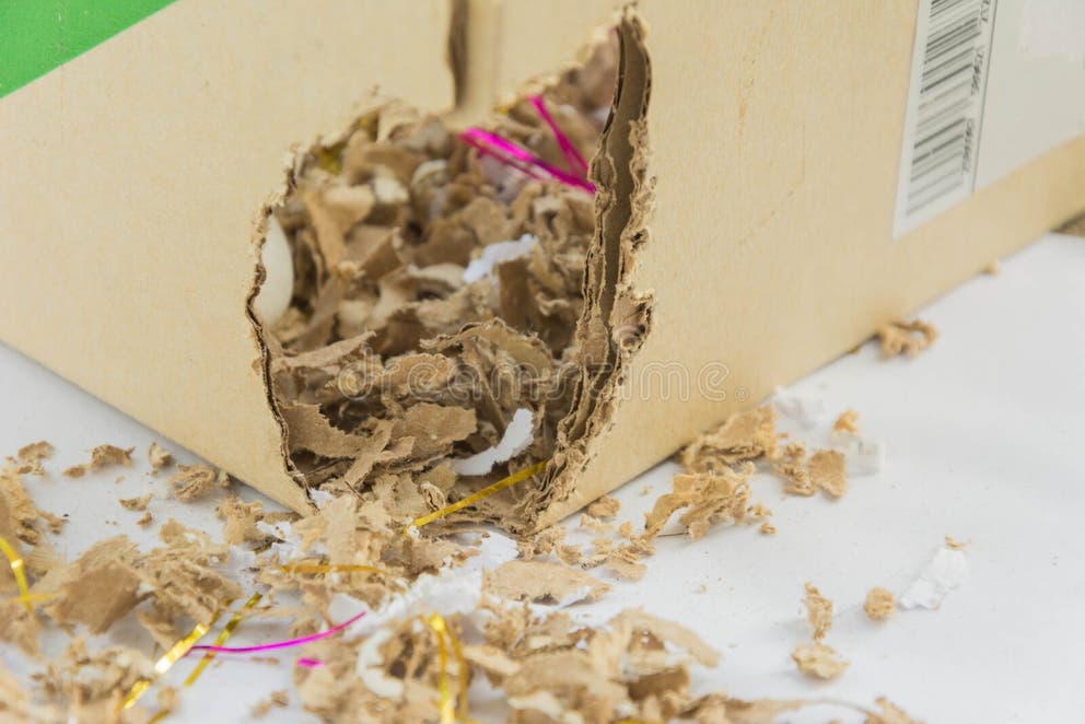 Crate paper stock image. Image of container, breeding - 69973413