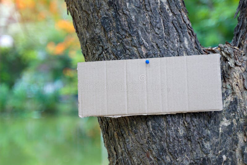 Crate Paper Sign on the Tree Stock Image - Image of globe, ecosystems ...