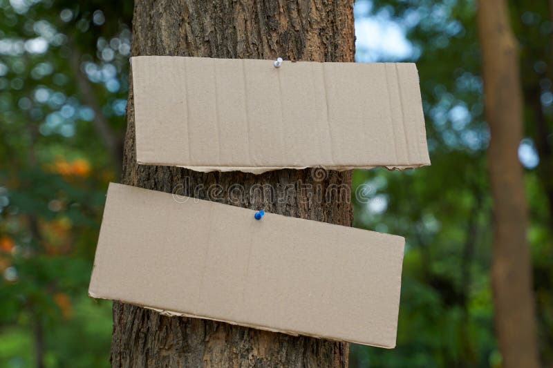 Crate Paper Signs on the Tree for Writing Environmental Campaign ...