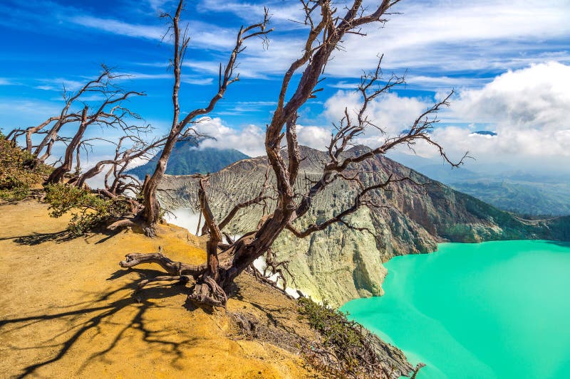Crater volcano Ijen, Java stock image. Image of tree - 279522213