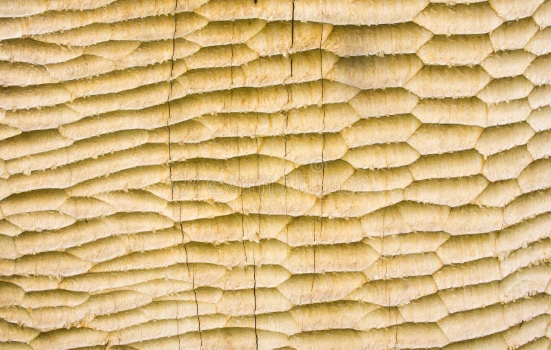Craven Wood Background stock image. Image of detail, timber - 31806429