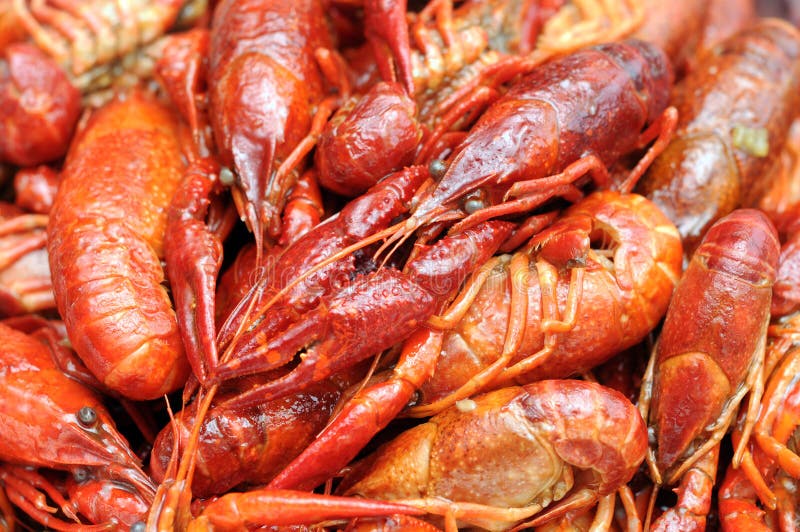Steamed crawfish stock photo. Image of dish, gourmet - 41281518