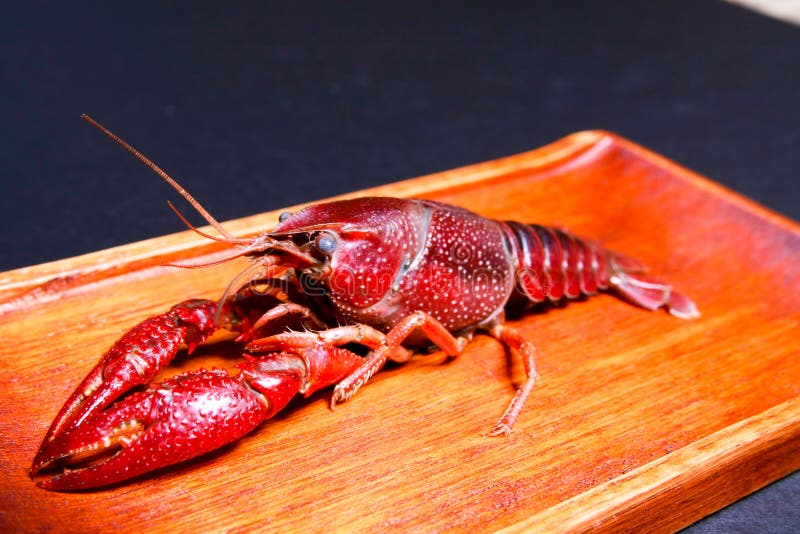 Crawdads stock photo. Image of healthy, crabfish, vegetable - 5881414