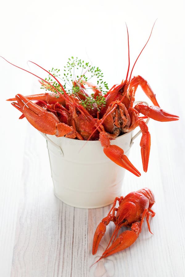 Crawfish stock photo. Image of bucket, shell, claw, prepared - 25989554