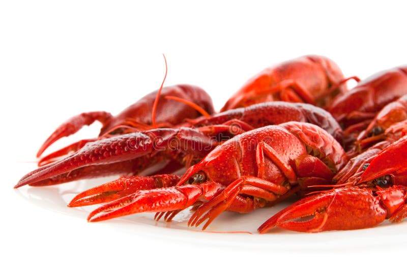 Crawfish stock image. Image of crab, close, lobster, food - 8312849