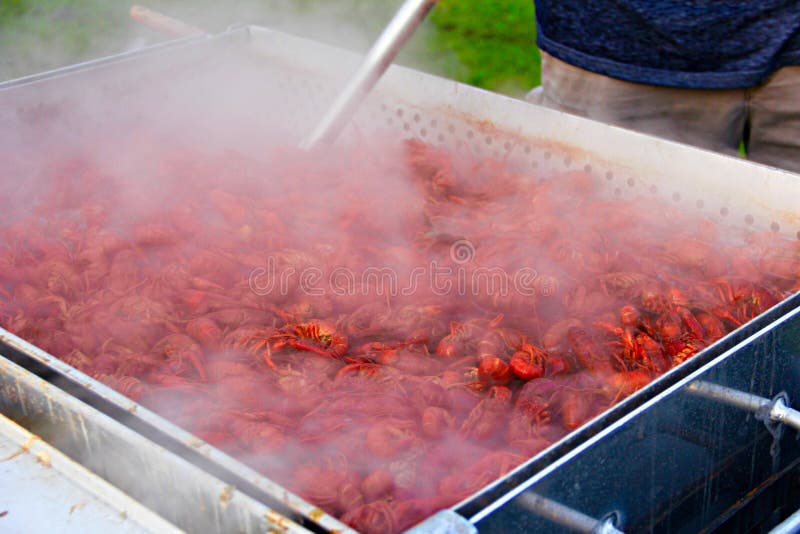 Crawfish Boiling in a Large Pot Stock Image - Image of cajun, orleans ...
