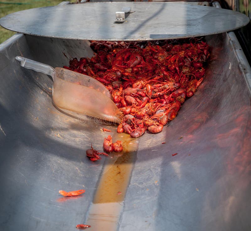 Crawfish Boiling stock image. Image of boil, shell, claws - 13741419
