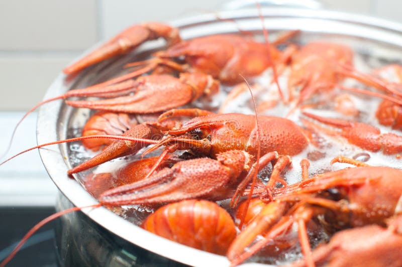 Crawfish Boiling in a Large Pot Stock Image - Image of party, creole ...