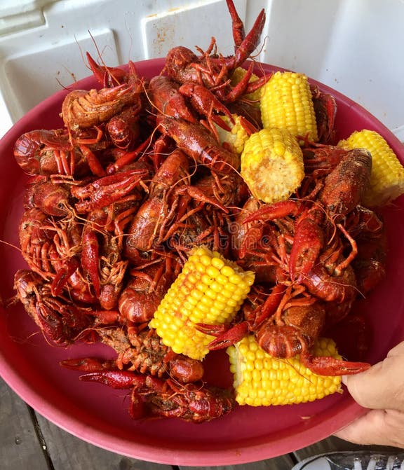 Crawfish stock image. Image of beach, love, food, houston - 132034247