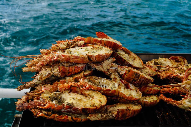 Crawfish or lobster stock image. Image of lobster, restaurant - 251570025