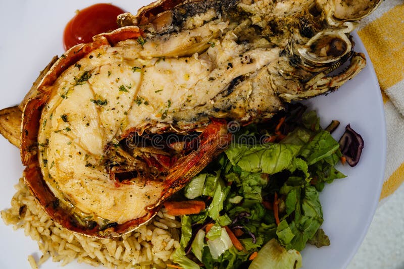 Crawfish or lobster stock photo. Image of barbecue, onions - 251570028