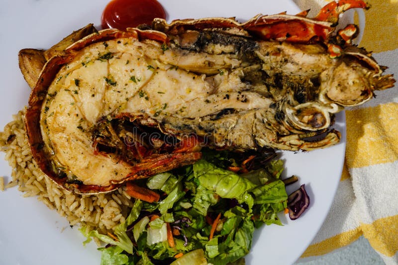 Crawfish or lobster stock image. Image of prawns, herbs - 251570029