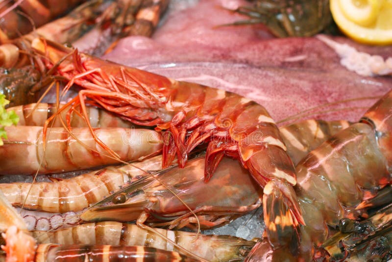 Crawfish raw stock photo. Image of fresh, invertebrate - 13235140