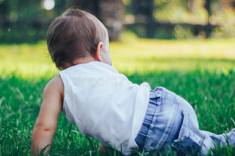 Crawling Baby on Grass. only Back Stock Photo - Image of blue ...