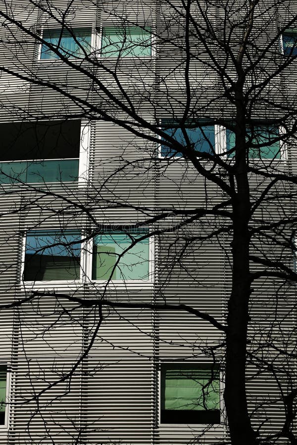 Crawling Darkness stock photo. Image of dark, silhouette - 27352508