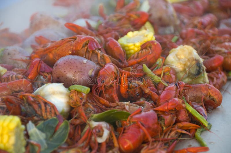 Cray fish medley stock image. Image of shell, crayfish - 13319797