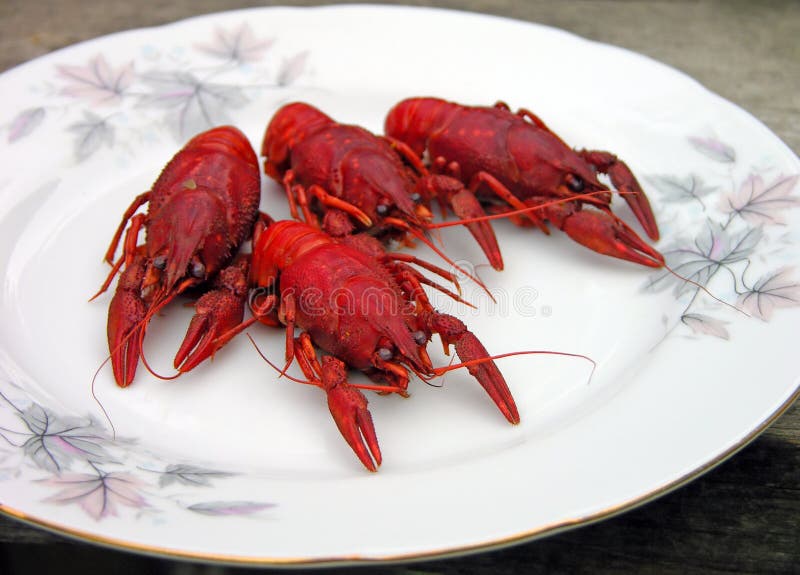 Crayfish stock image. Image of crustacean, prepared, lobster - 12064593