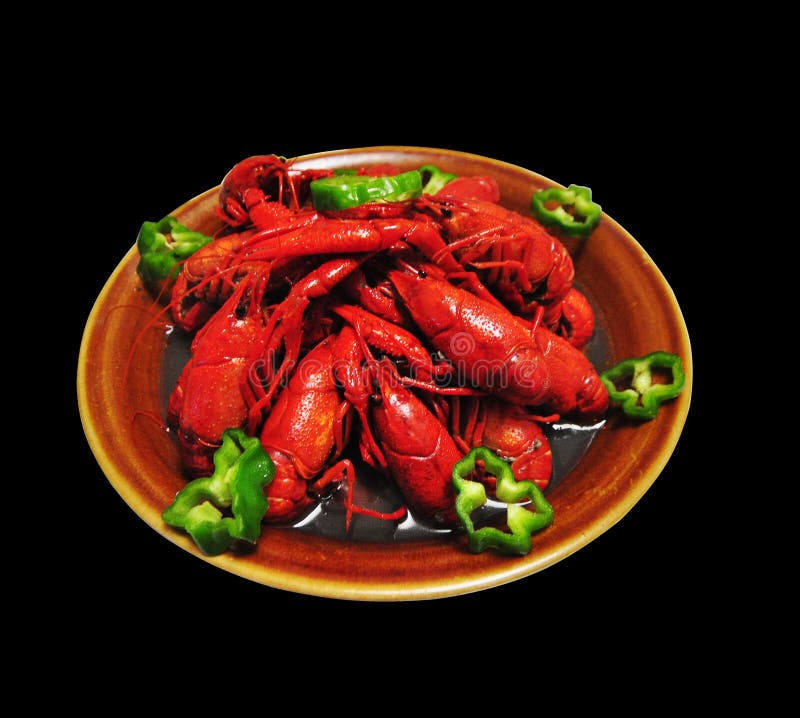 Crayfish stock image. Image of southern, fish, crawdad - 14510073