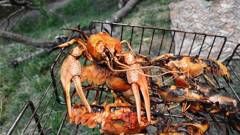 Crayfish BBQ Grill Steaming Stock Image - Image of shrimp, restaurant ...