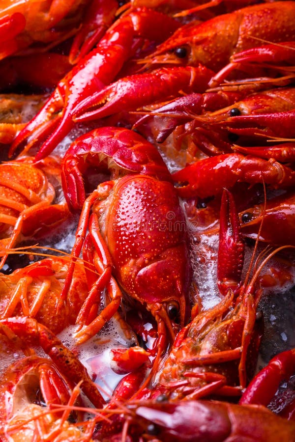 Crayfish. stock photo. Image of shellfish, sweden, gourmet - 90614878