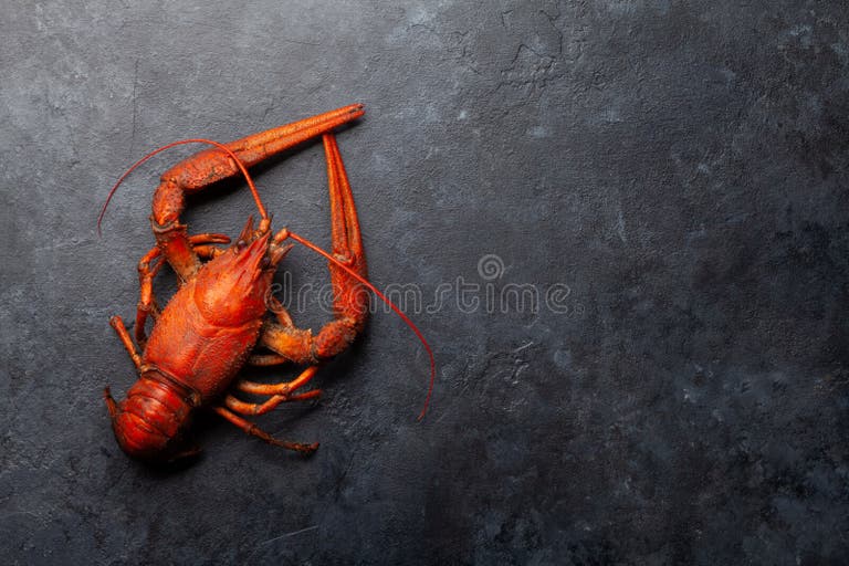 Crayfish stock photo. Image of river, gourmet, crawfish - 247064776