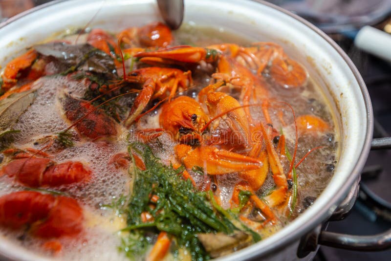 Crayfish are Boiling in a Large Saucepan with Dill on a Fire Stock ...