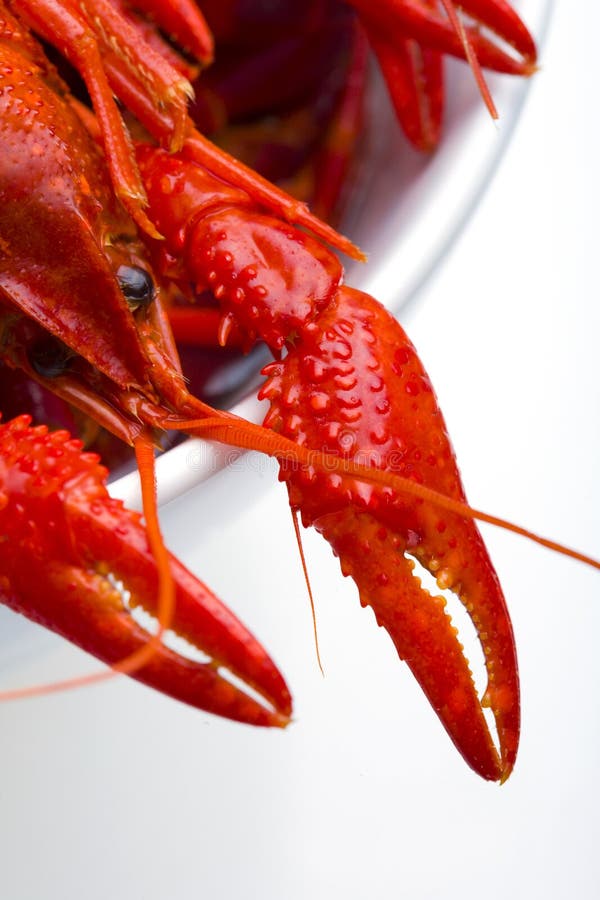 Crayfish stock image. Image of dish, crawfish, cuisine - 2707435