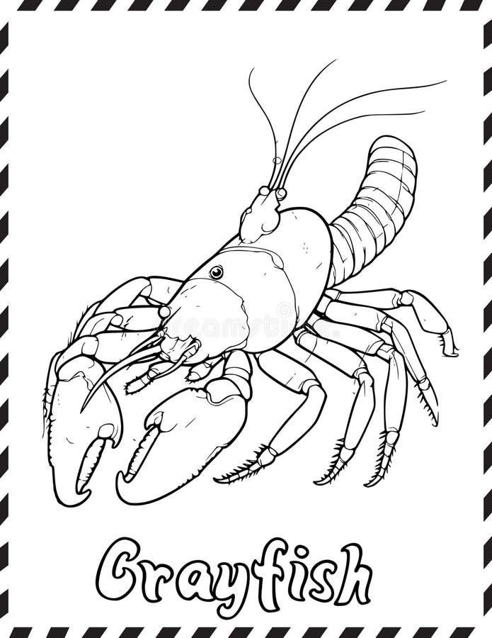 Printable Freshwater Fish Coloring Pages Stock Illustrations – 3 ...