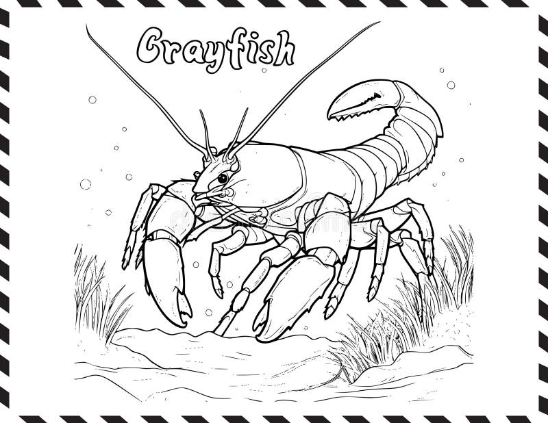 Crayfish Coloring Pages Drawing for Kids Stock Vector - Illustration of ...