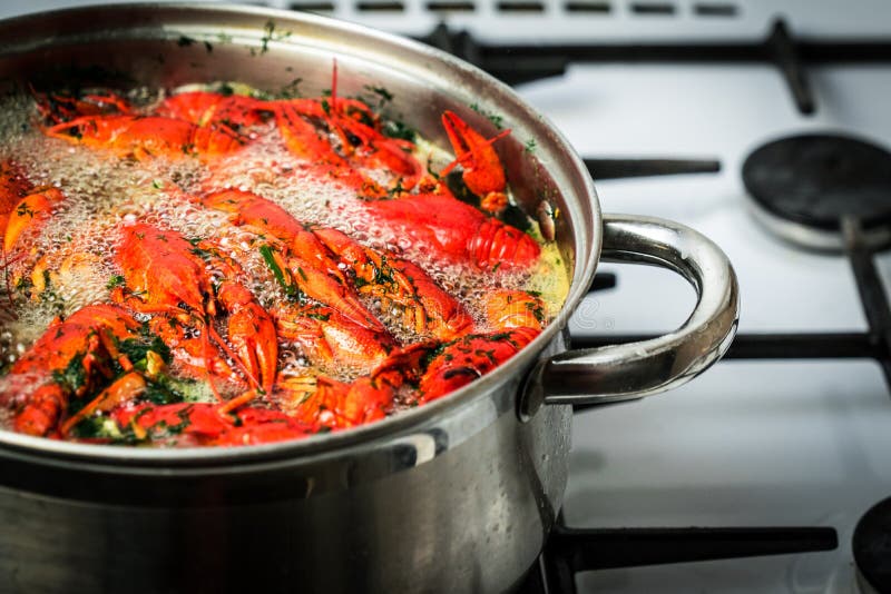 Cook Crayfish stock photo. Image of prepared, organic - 32562806